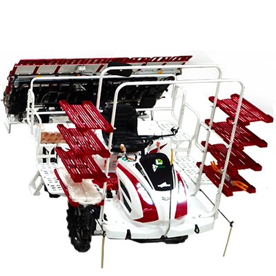 Transplatadora YR60D/80D