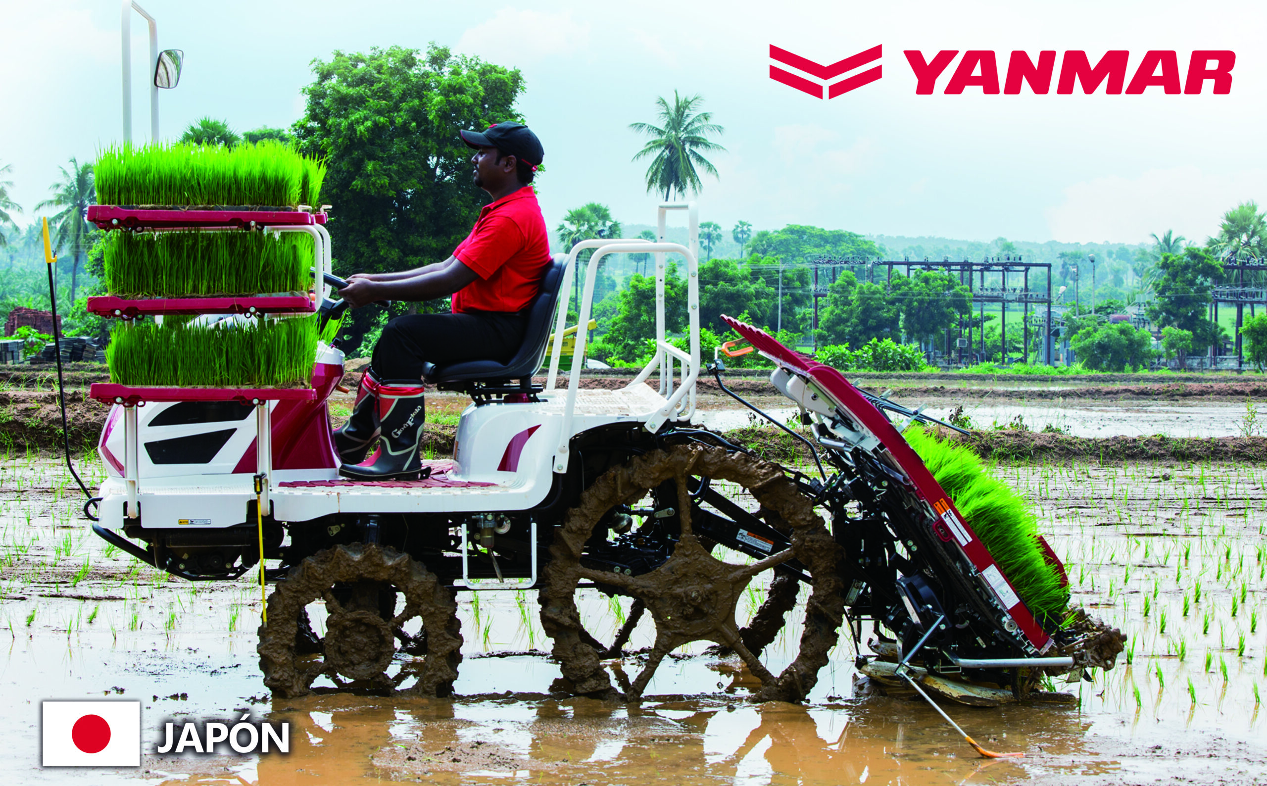 Transplatadora YR60D/80D